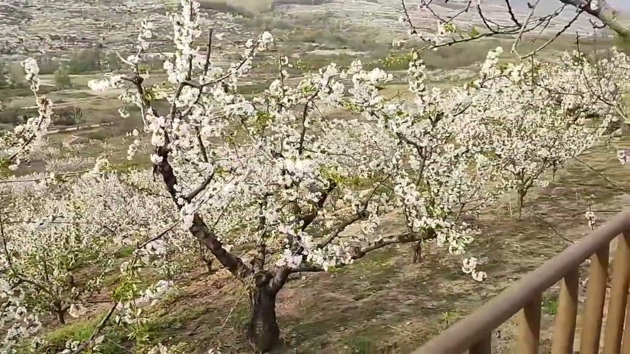 El Valle del Jerte de Cáceres, entre los 3 mejores lugares de España ...